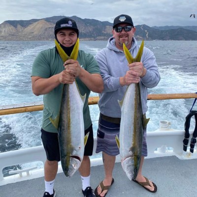 Sum Fun | Dana Wharf