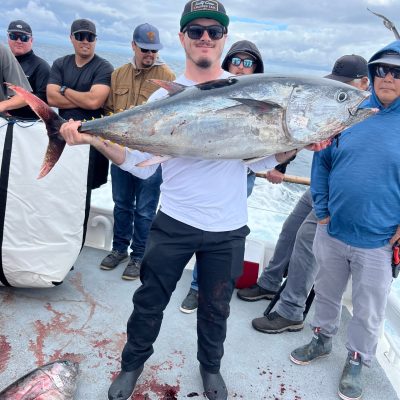 Sum Fun | Dana Wharf