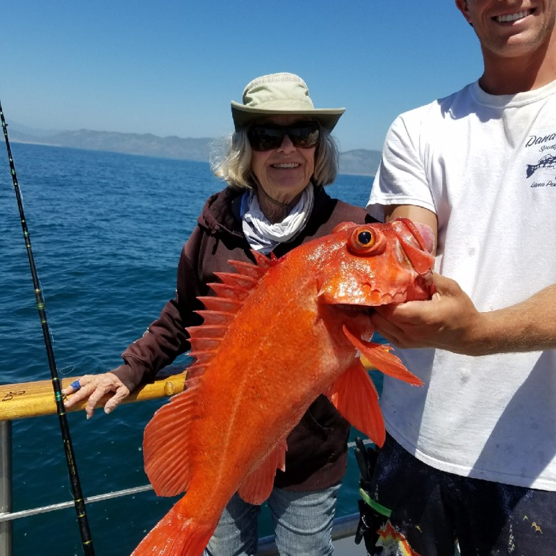 dana wharf promo code