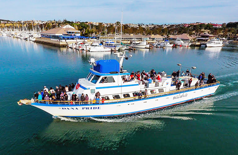 Deep Sea Fishing Dana Point: Complete Beginner's Guide 2025 | Tips ...