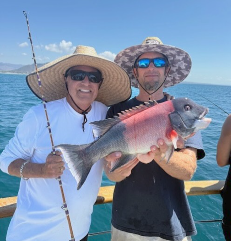 How to Catch California Sheephead: Dana Point Fishing Guide